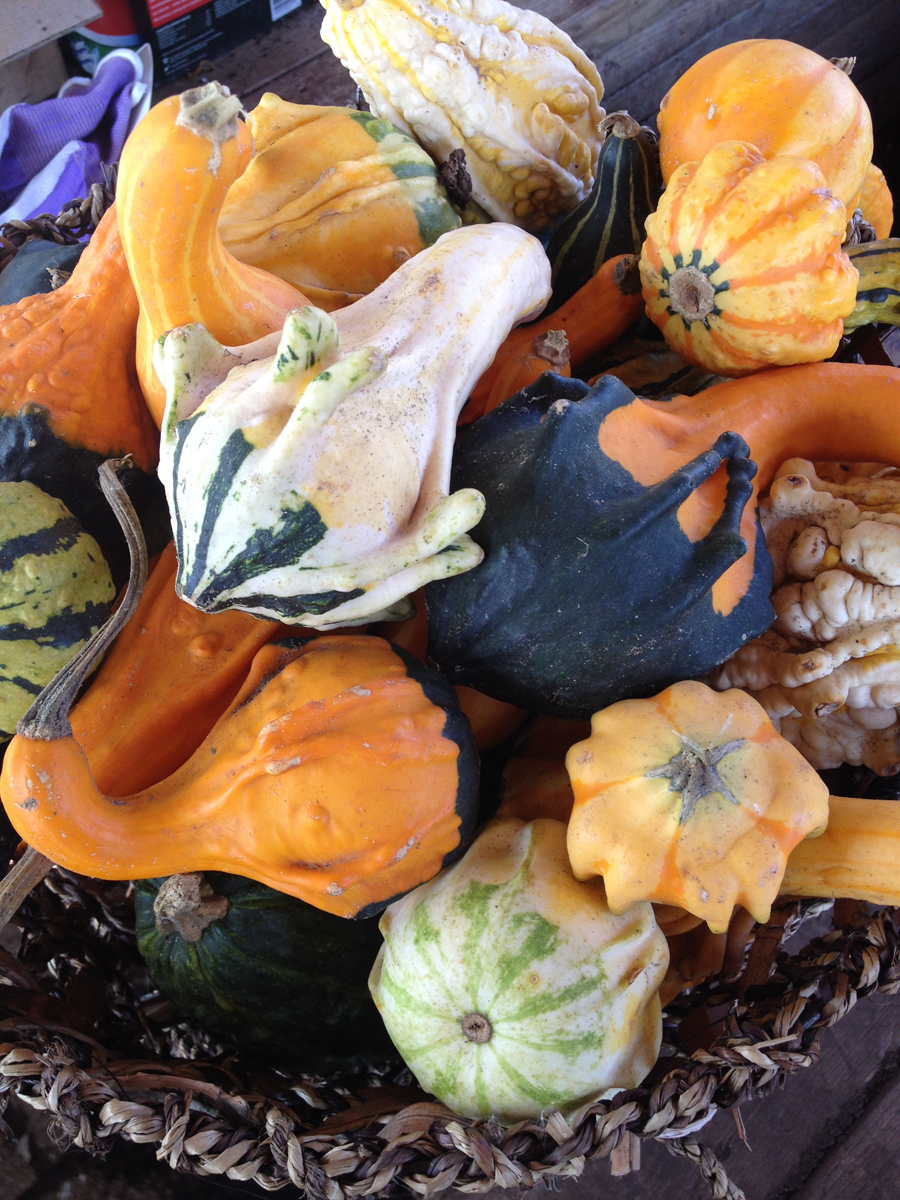 Thanksgiving Shopping List - The Village Grocer